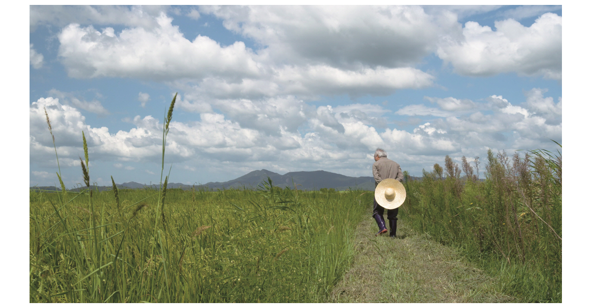 From Rice Farming to Biochar: Greenery to Showcase Innovative, Low ...